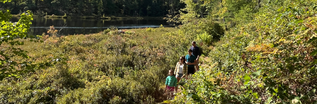NH State Parks - Greenfield State Park